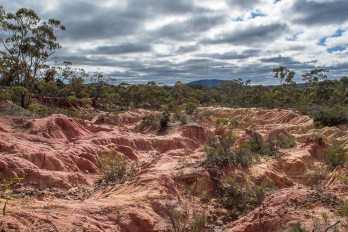 Pink Cliffs Geological Reserve | Goldfields Guide