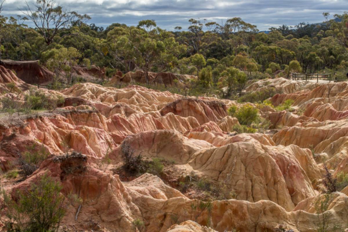 Pink Cliffs Geological Reserve | Goldfields Guide