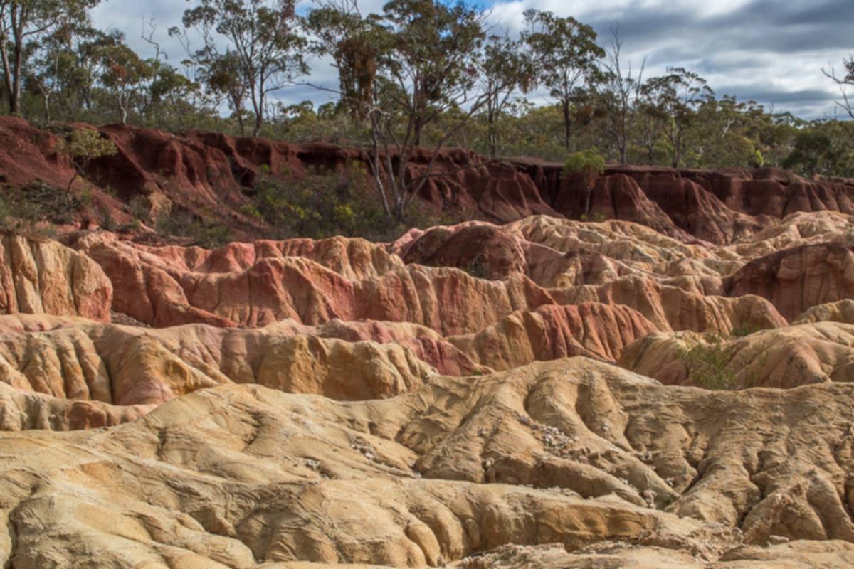 Pink Cliffs Geological Reserve | Goldfields Guide