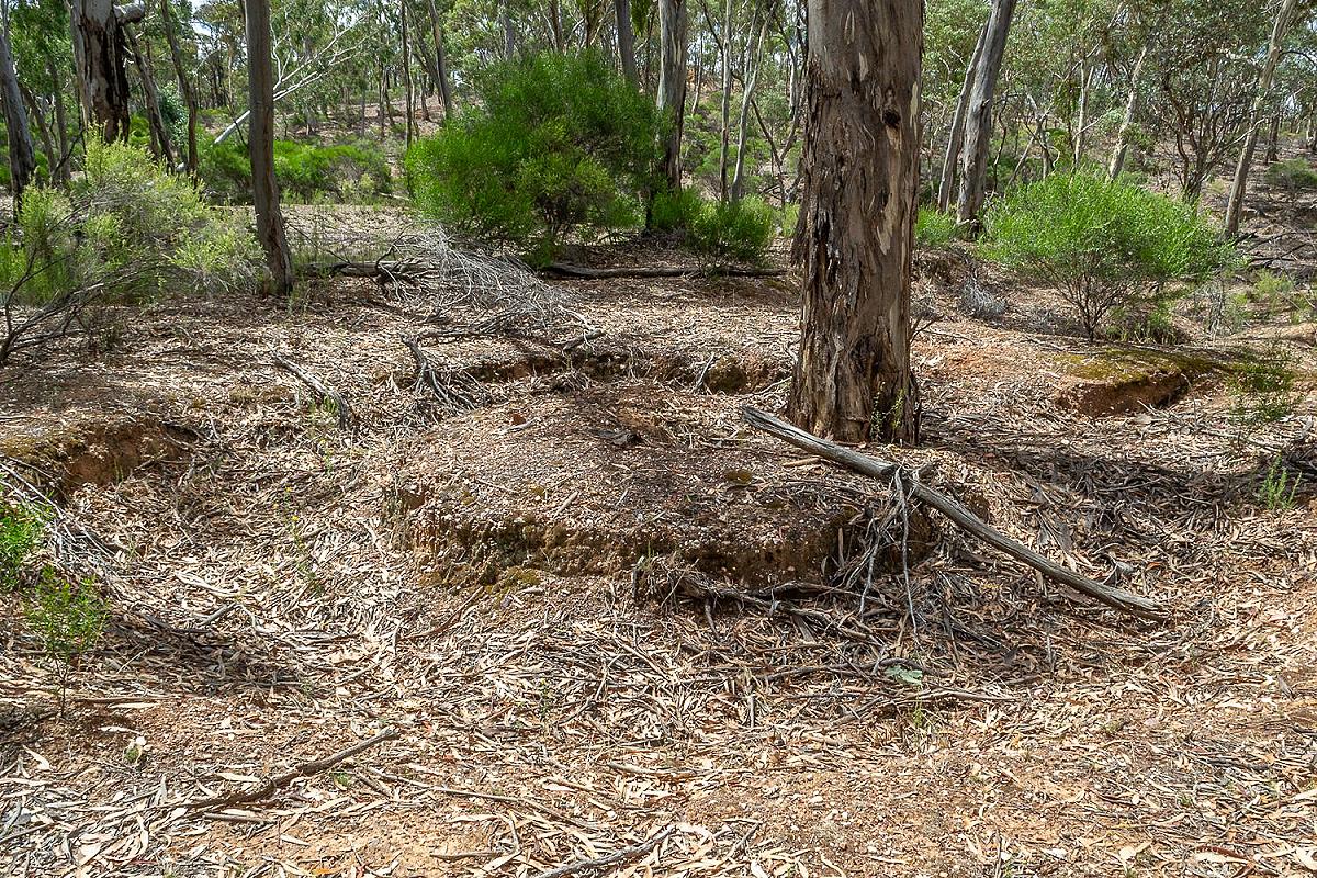 Union Reef Mine | Goldfields Guide