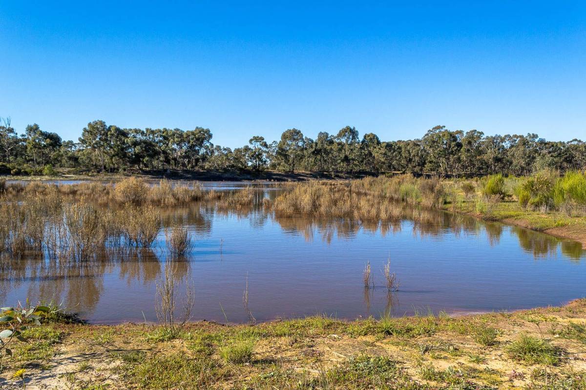 Carisbrook Reservoir | Goldfields Guide