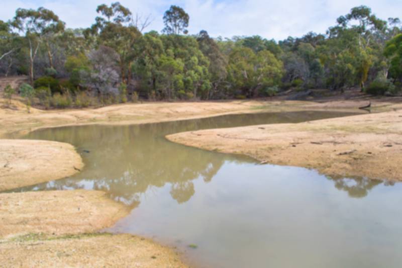The Dam Campground | Goldfields Guide