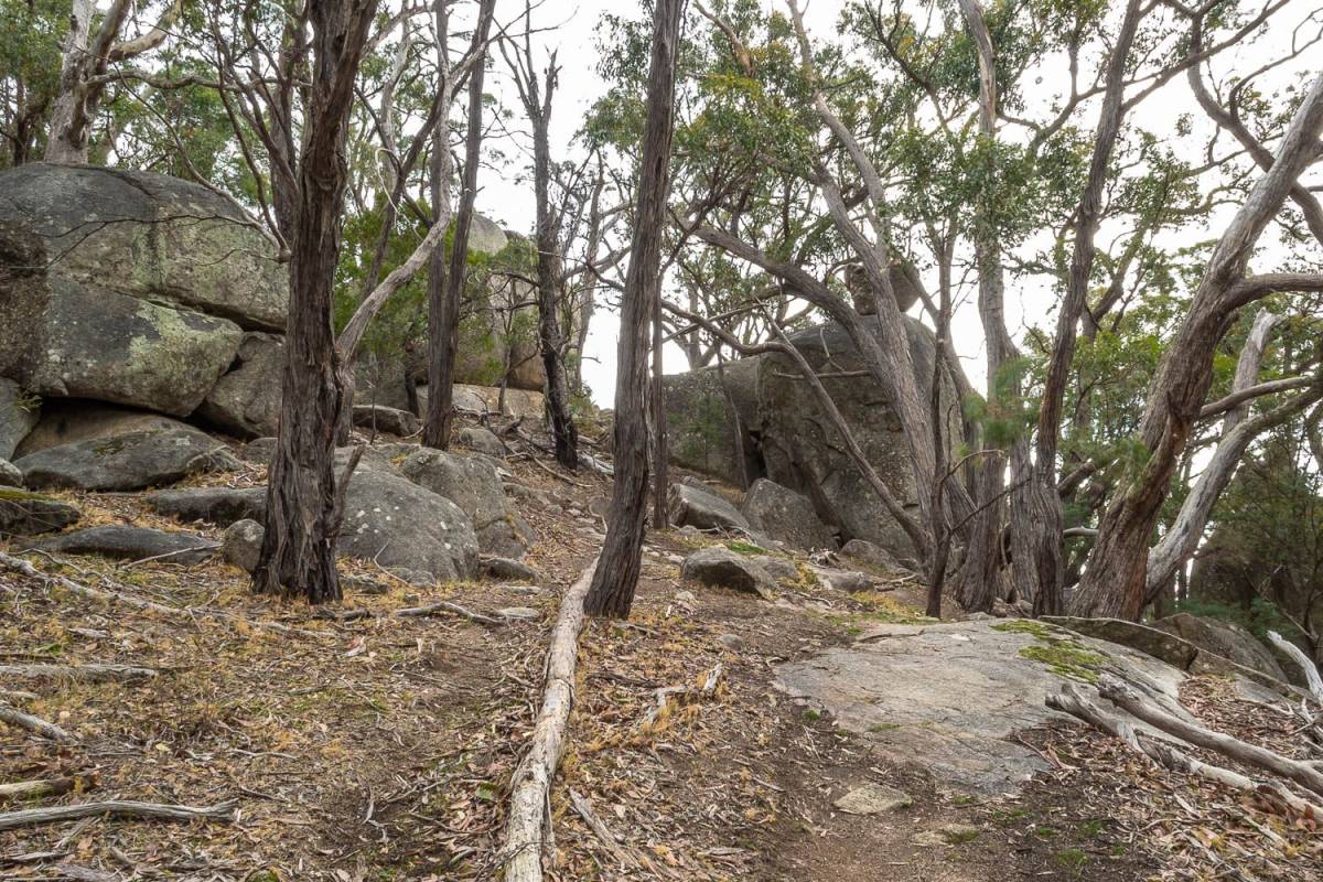 Dog Rocks | Goldfields Guide