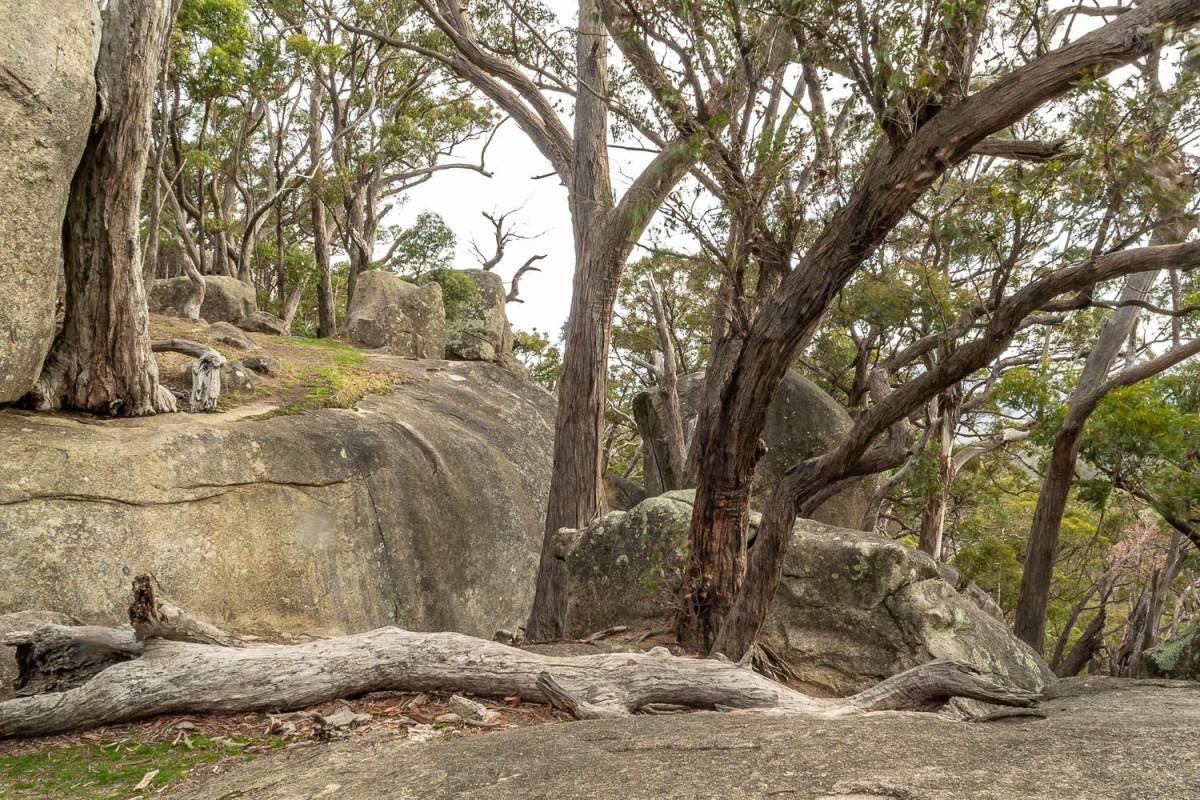 Dog Rocks | Goldfields Guide