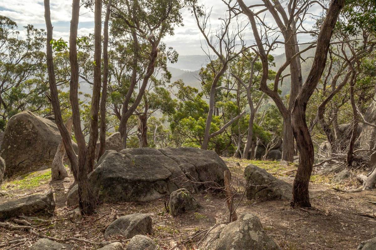 Dog Rocks | Goldfields Guide