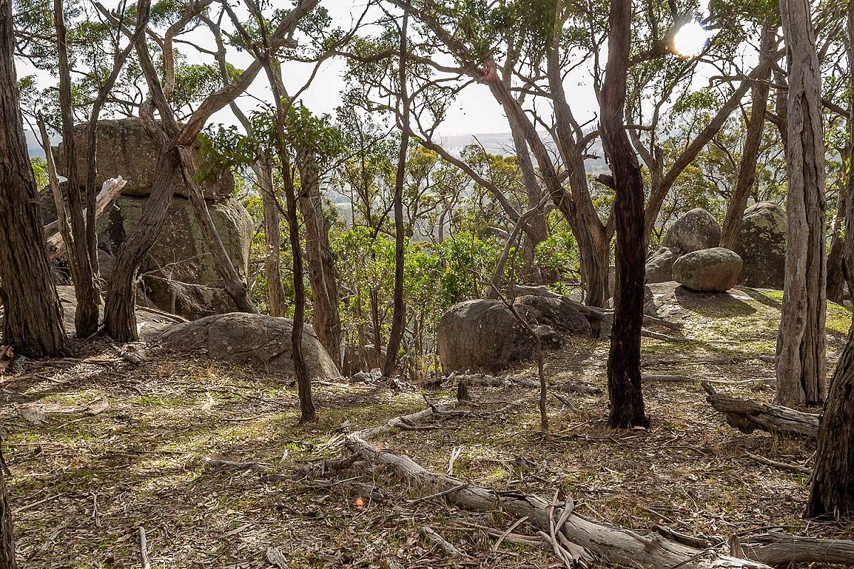 Dog Rocks | Goldfields Guide