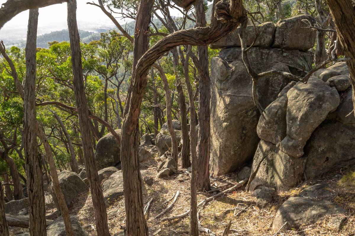 Mount Alexander Regional Park | Goldfields Guide