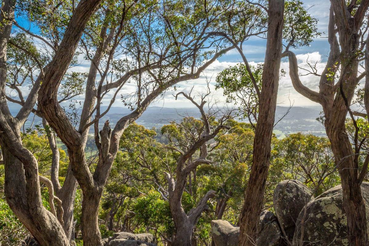 Dog Rocks | Goldfields Guide