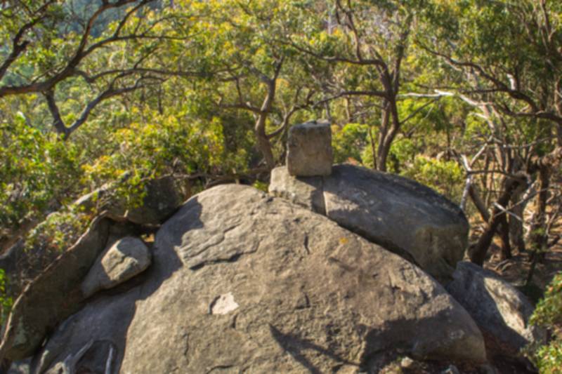 West Ridge Walking Track | Goldfields Guide