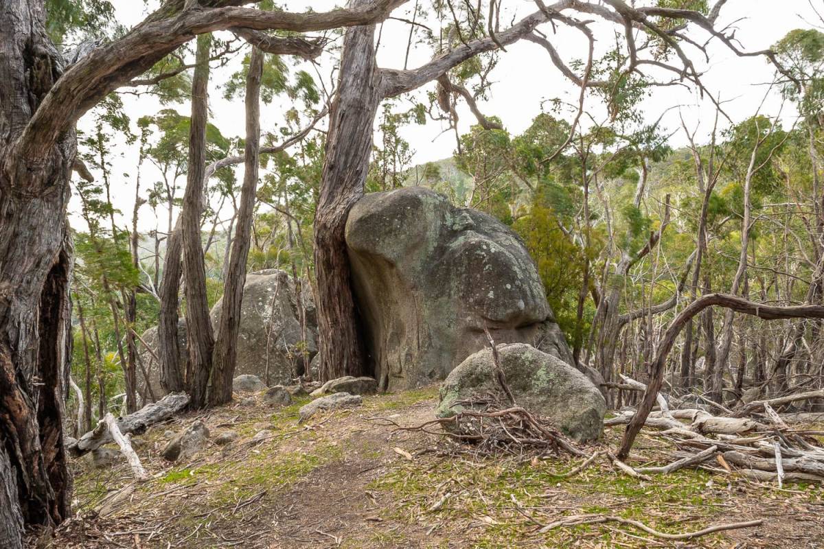 Dog Rocks | Goldfields Guide