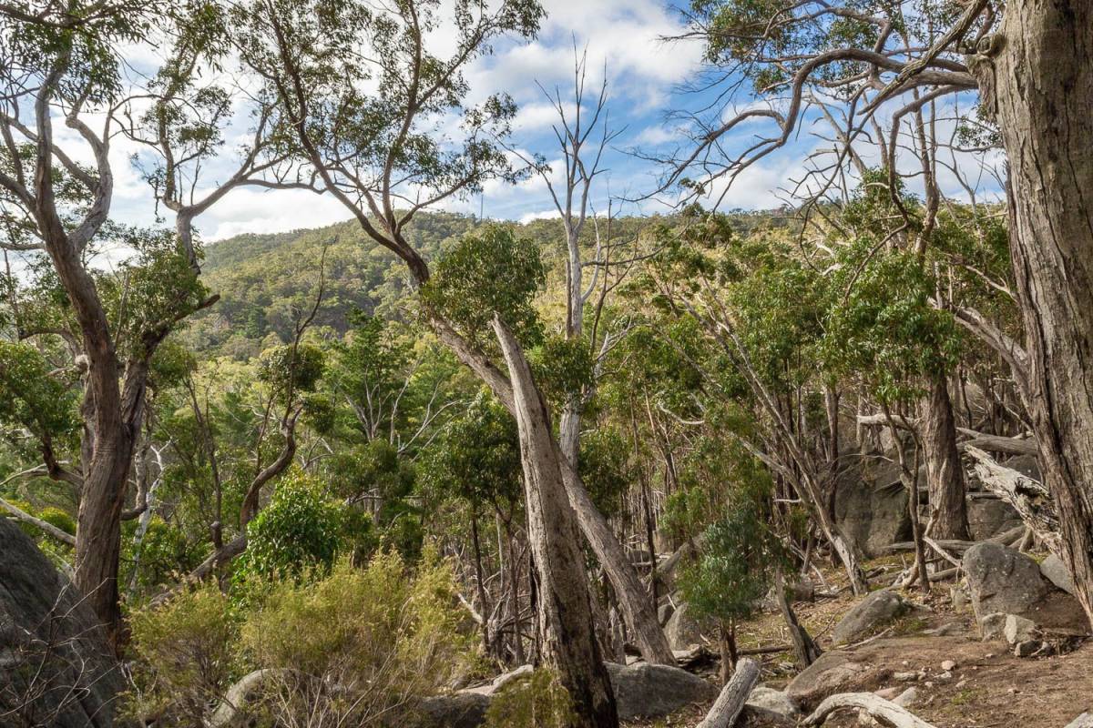 Dog Rocks | Goldfields Guide