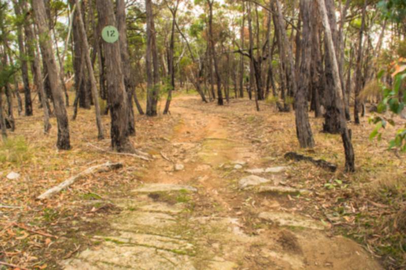 West Ridge Walking Track | Goldfields Guide