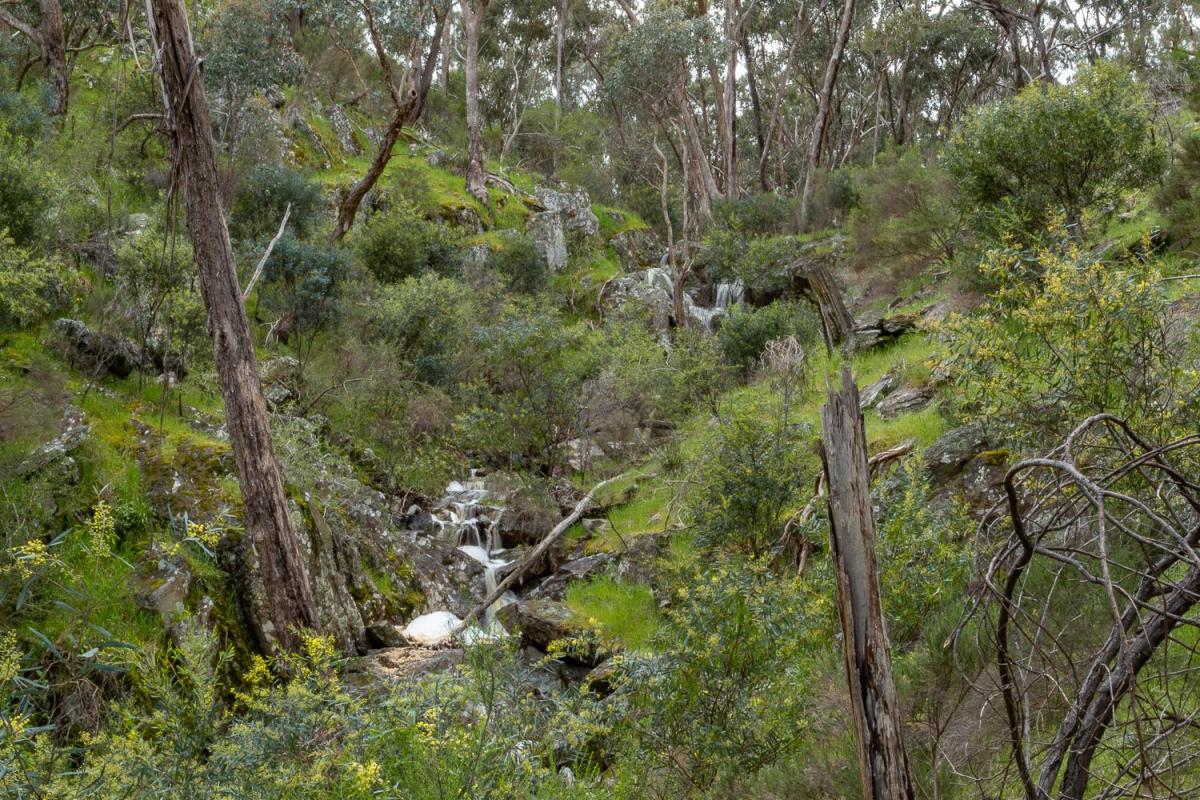 Glenluce Falls | Goldfields Guide