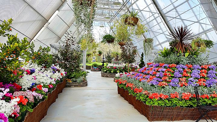 Robert Clark Conservatory | Goldfields Guide