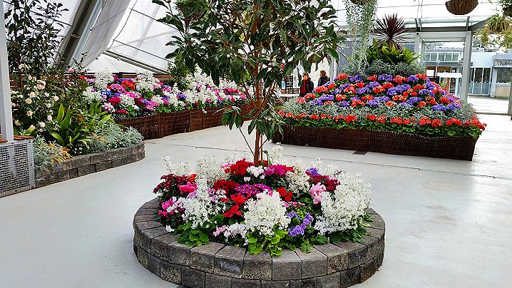 Robert Clark Conservatory | Goldfields Guide