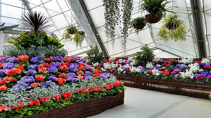 Robert Clark Conservatory | Goldfields Guide