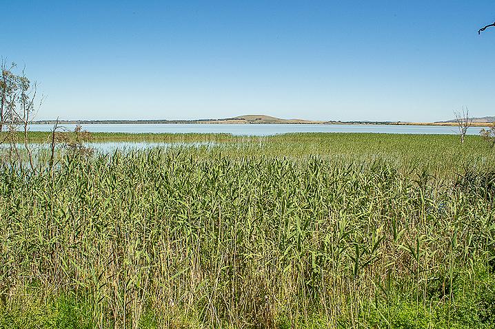 Lake Burrumbeet Nature Walk | Goldfields Guide