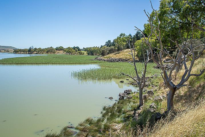 Lake Burrumbeet Picnic Lookout | Goldfields Guide