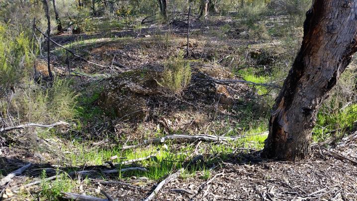 Louisa Dam and Gold Puddler | Goldfields Guide