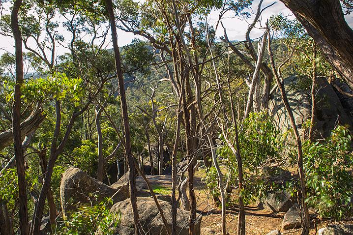 West Ridge Walking Track | Goldfields Guide