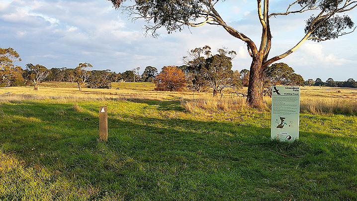 Moorabool Falls | Goldfields Guide