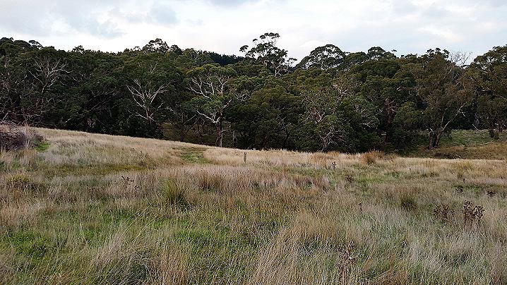Moorabool Falls | Goldfields Guide