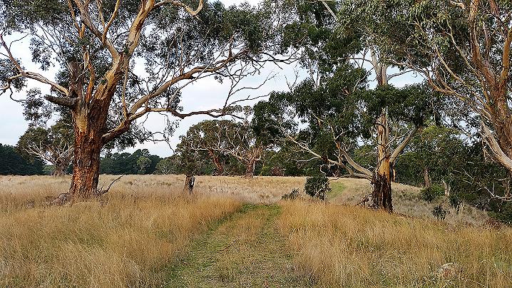 Moorabool Falls | Goldfields Guide