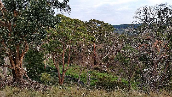 Moorabool Falls | Goldfields Guide