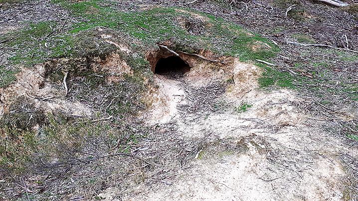 Cambrian Mine | Goldfields Guide