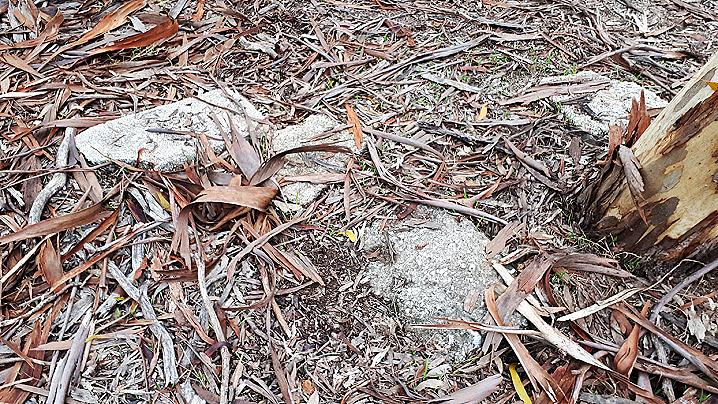 Cambrian Mine | Goldfields Guide