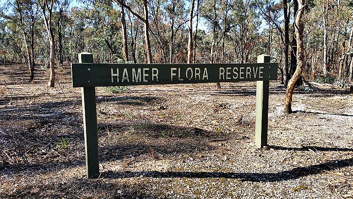 Hamer Flora Reserve | Goldfields Guide