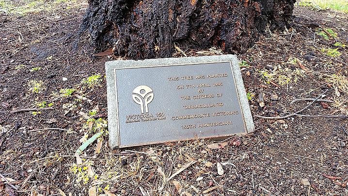 Tarnagulla Soldiers Memorial Park | Goldfields Guide