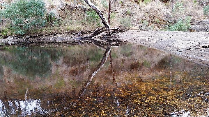 Vaughan Springs | Goldfields Guide