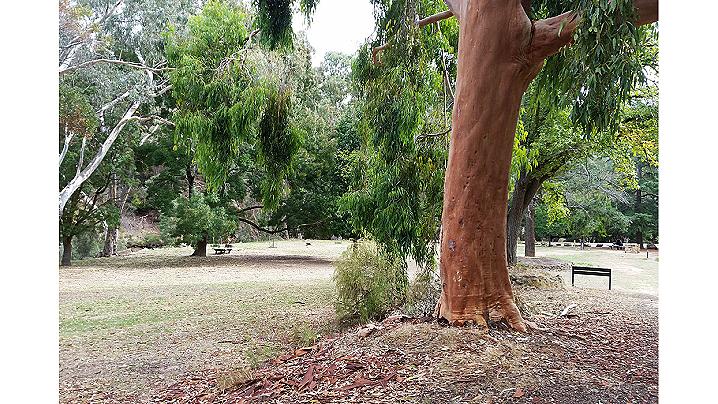 Vaughan Springs | Goldfields Guide