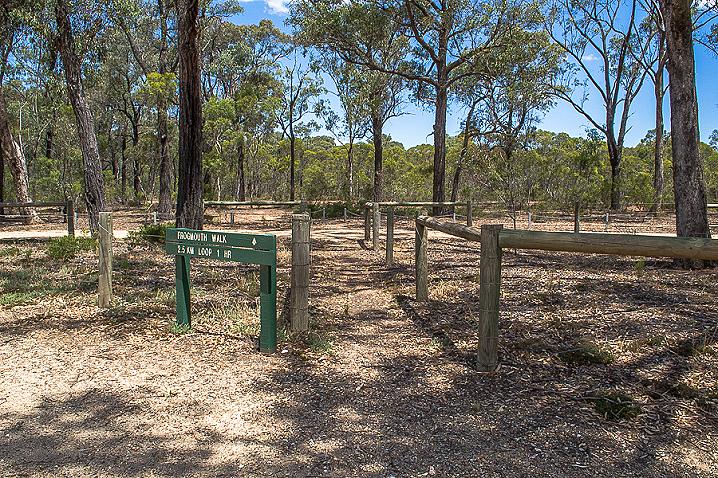 Notley Campground | Goldfields Guide