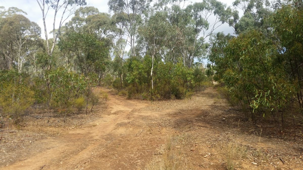 Majorca Historic Bush Reserve | Goldfields Guide