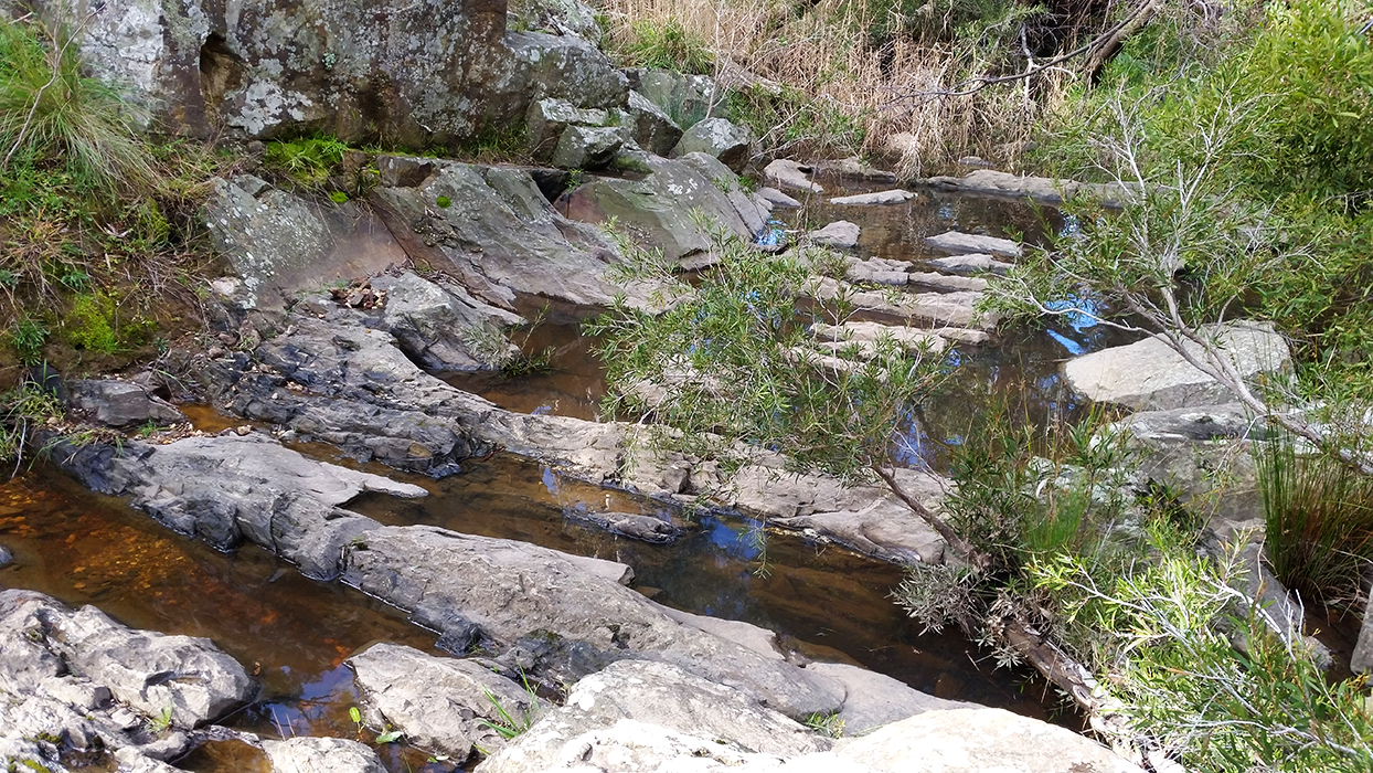 Glenluce Mineral Spring | Goldfields Guide