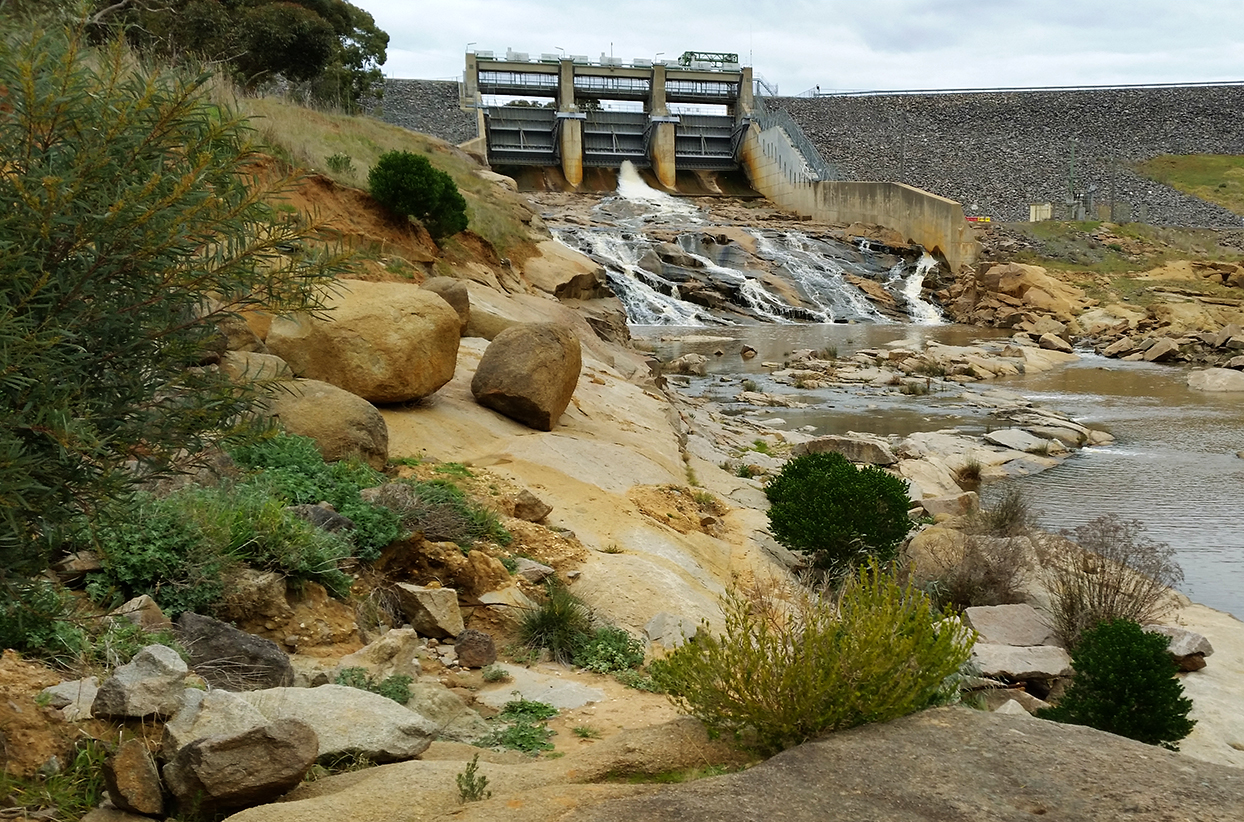 Loddon River Weir Walking Track | Goldfields Guide