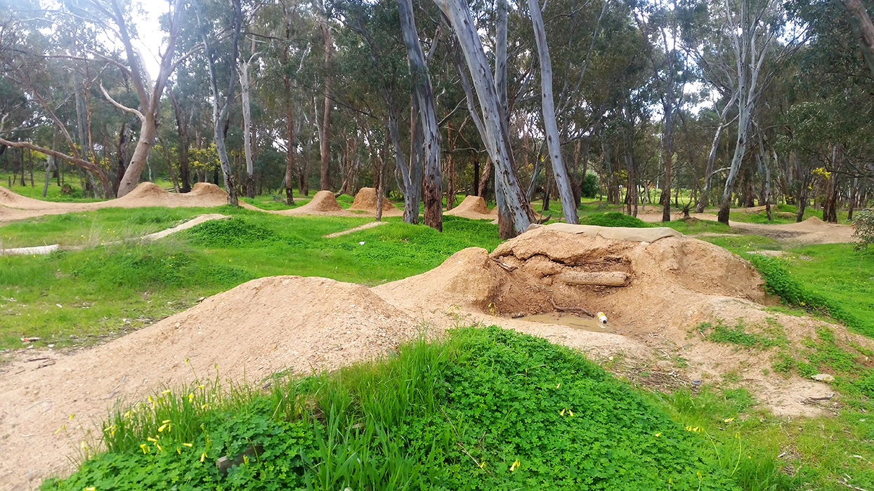 Spring Gully BMX Jumps | Goldfields Guide