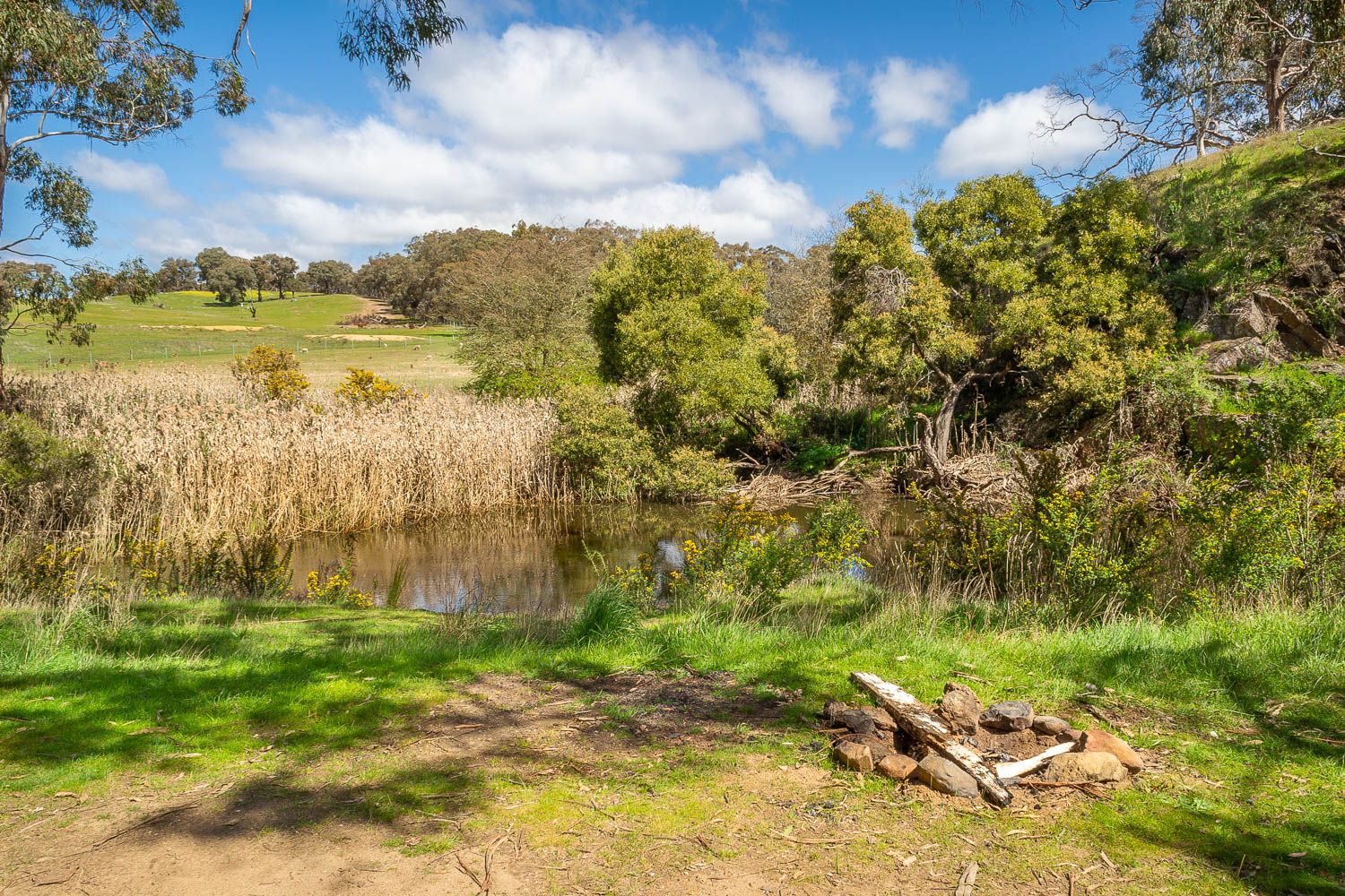 Franklinford Streamside Reserve | Goldfields Guide