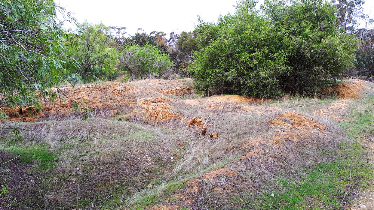 Tailings Dump and Cyanide Vats | Goldfields Guide