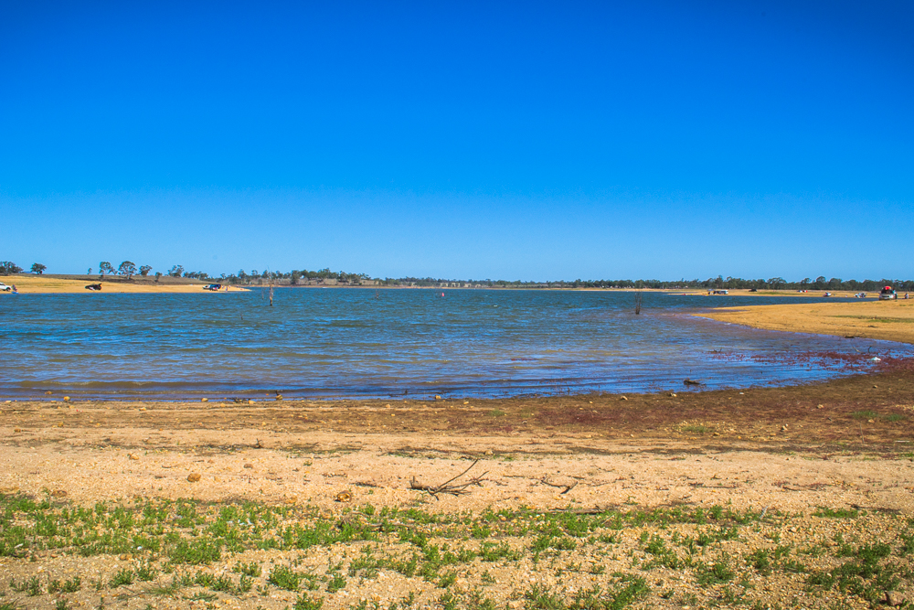 Lake Eppalock - Basic Picnic and Swimming Area | Goldfields Guide