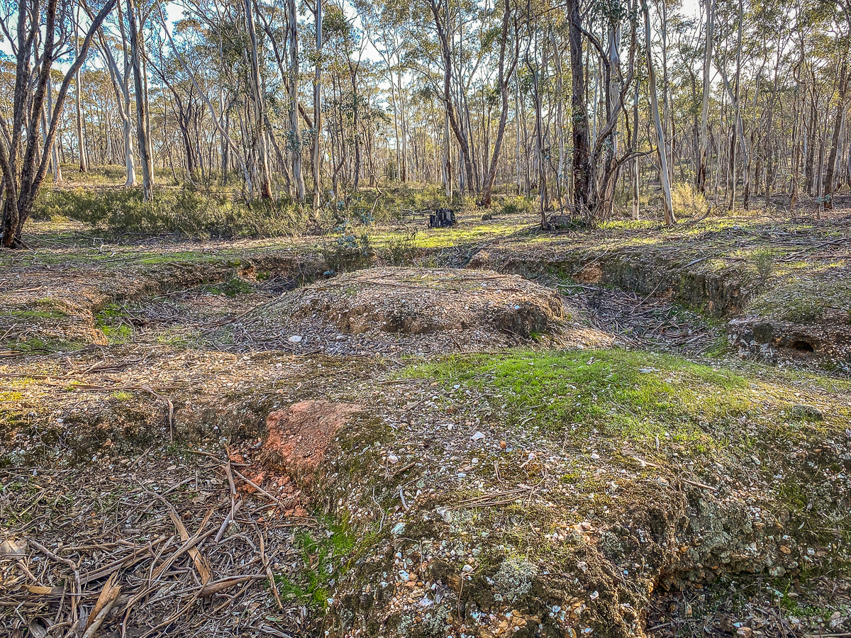 Gold Puddler off M32 Track | Goldfields Guide