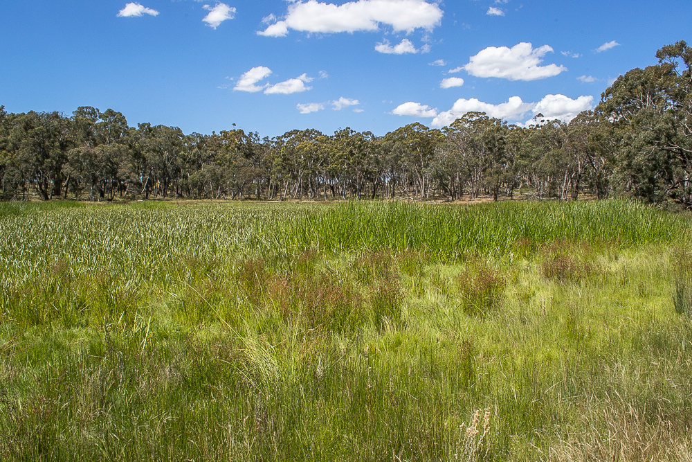 Raglan Bushland Reserve | Goldfields Guide