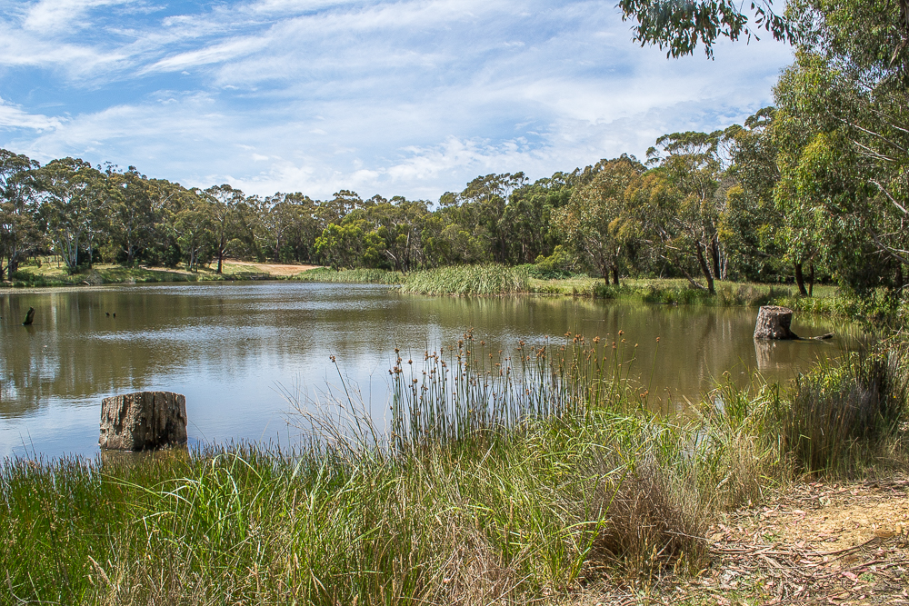 Glenlyon Community Dam | Goldfields Guide