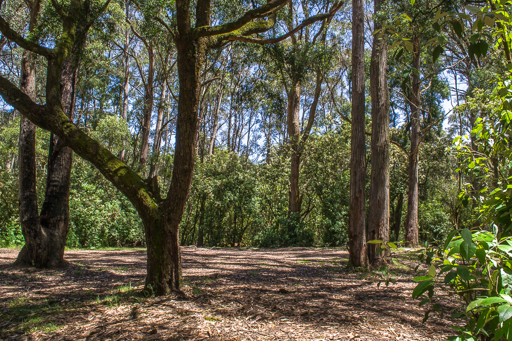 Paradise Camp | Goldfields Guide