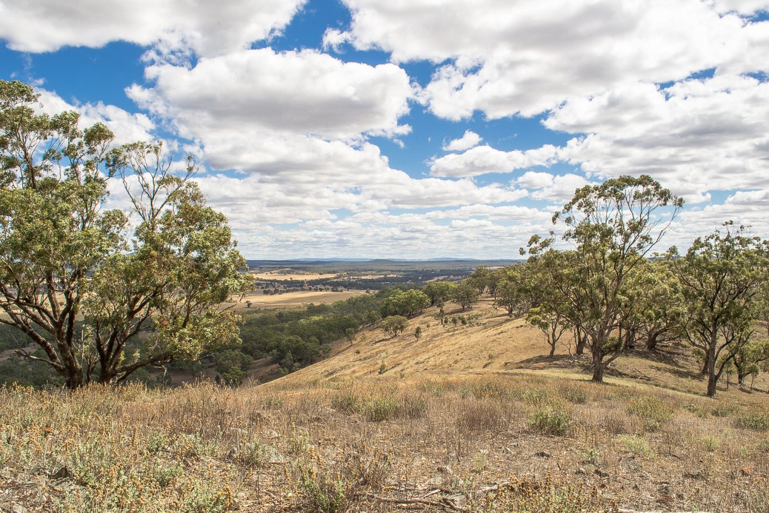Bald Hills | Goldfields Guide