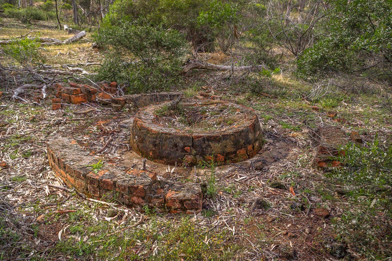 Blind Creek Chilean Mill | Goldfields Guide