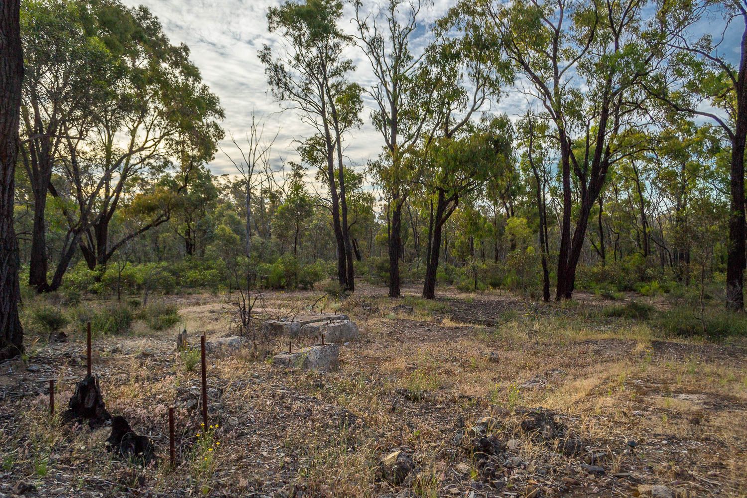 Tarnagulla State Battery Site | Goldfields Guide